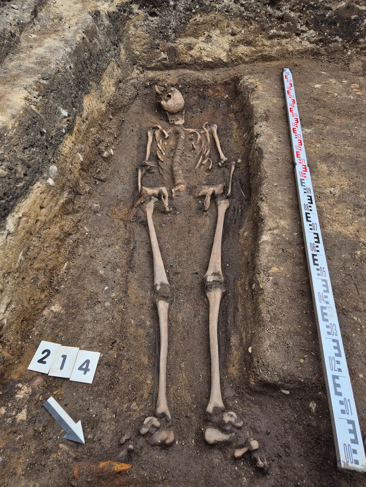 Medieval knight’s complete skeleton discovered beneath Polish ice cream ...