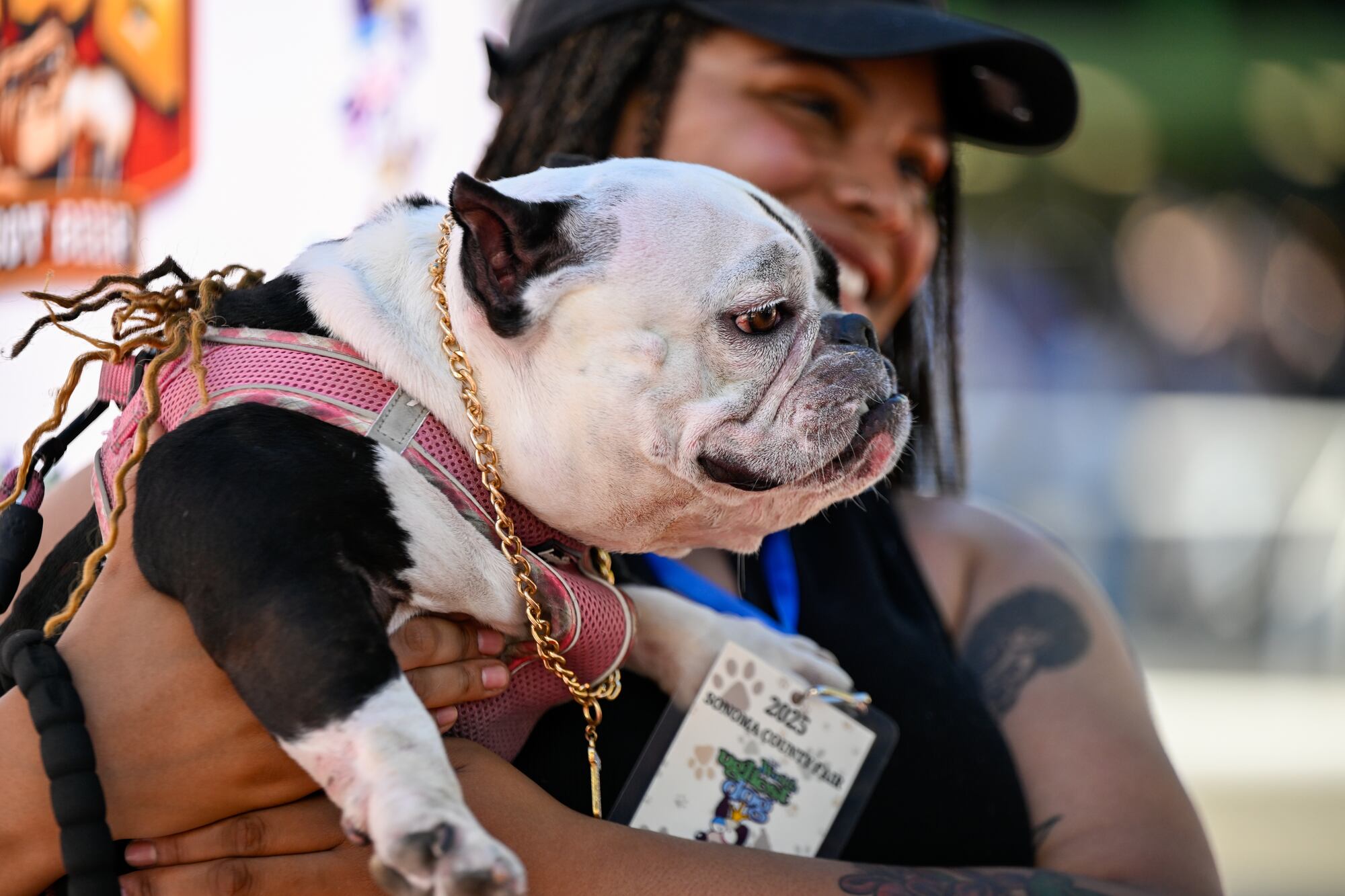 World’s Ugliest Dog Contest: Here are some of the top contenders – CP24