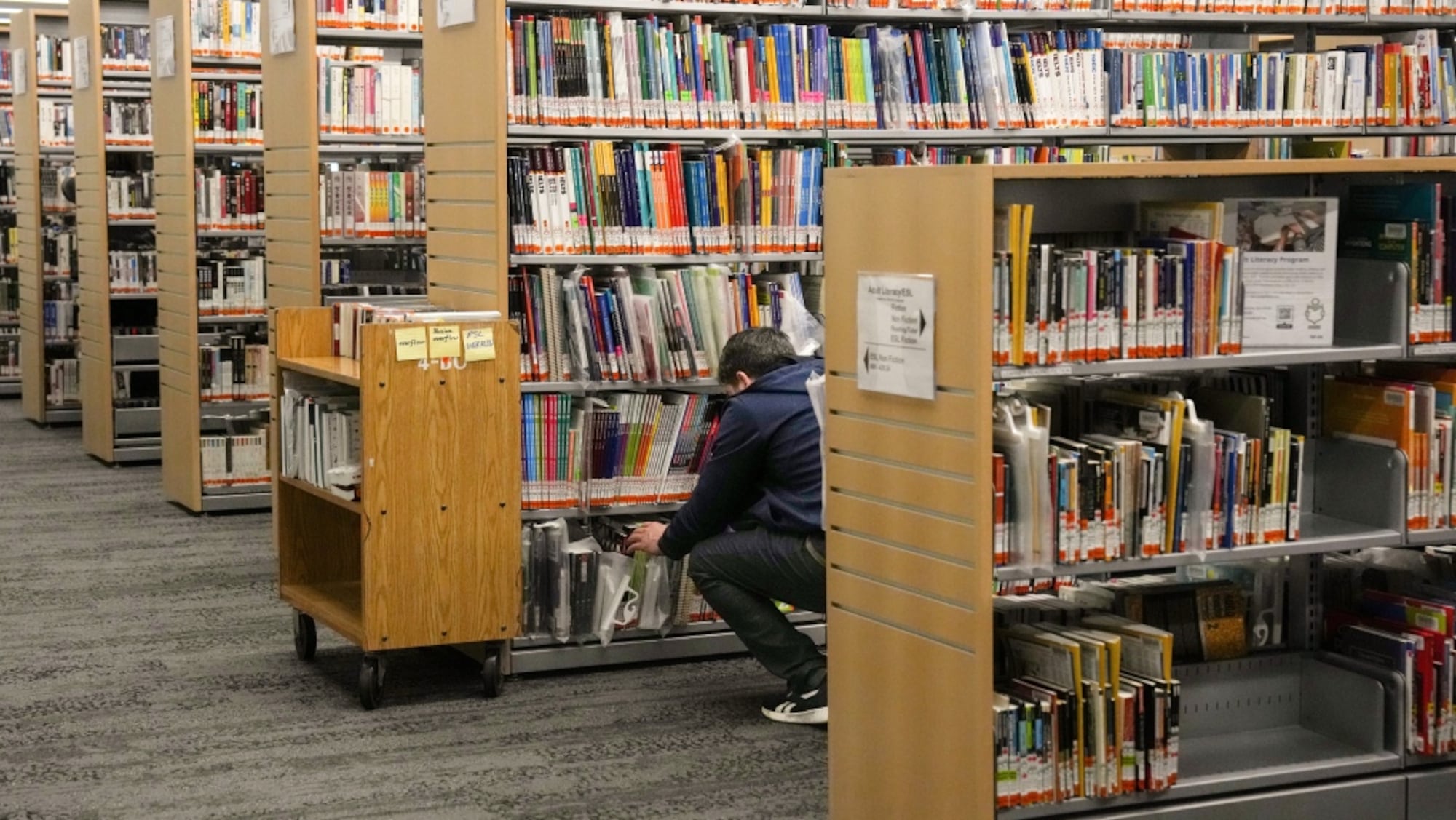 These were the most borrowed books at the Toronto Public Library this ...