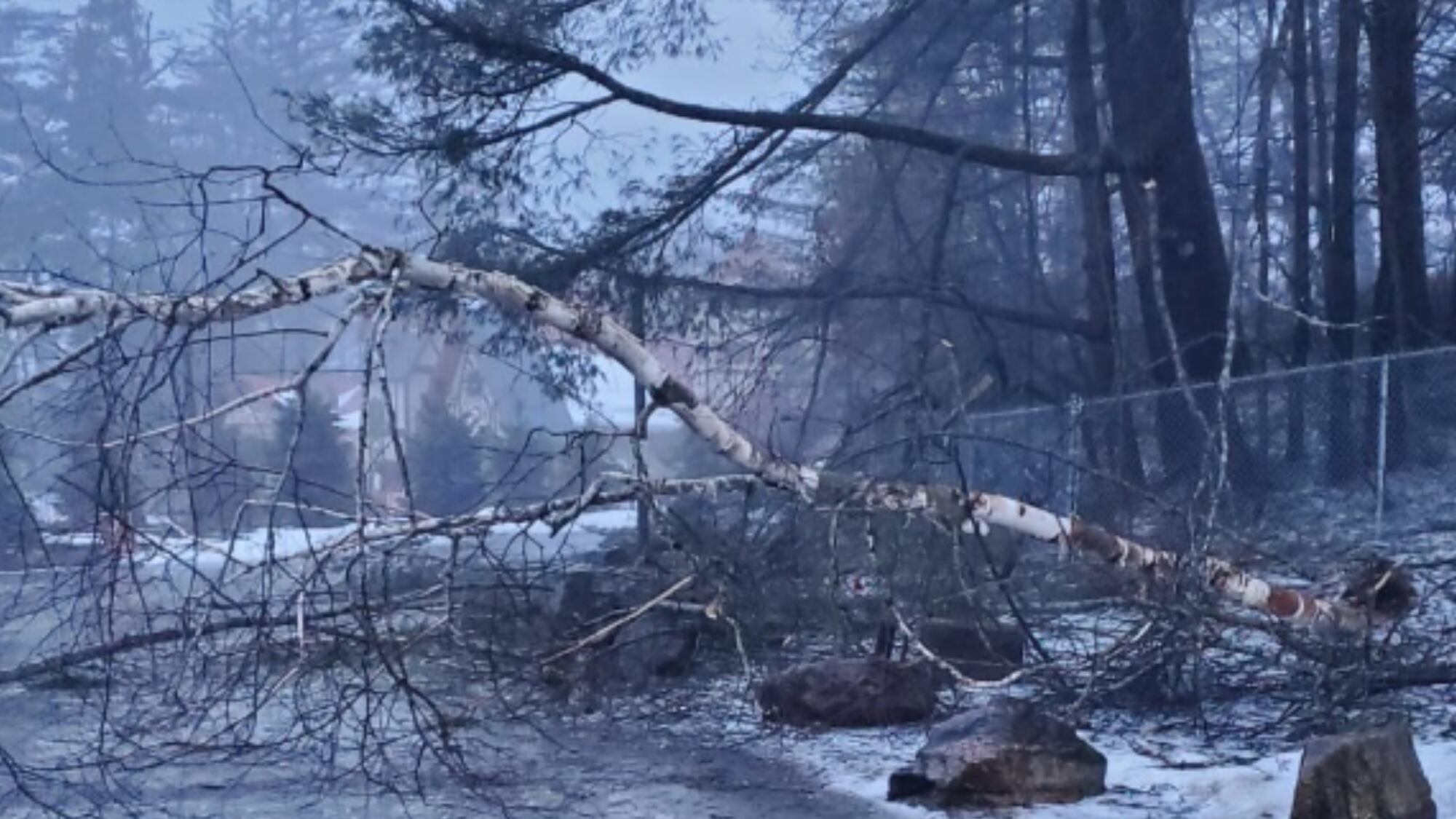 Ice storm causes widespread power outages and damage across Simcoe ...