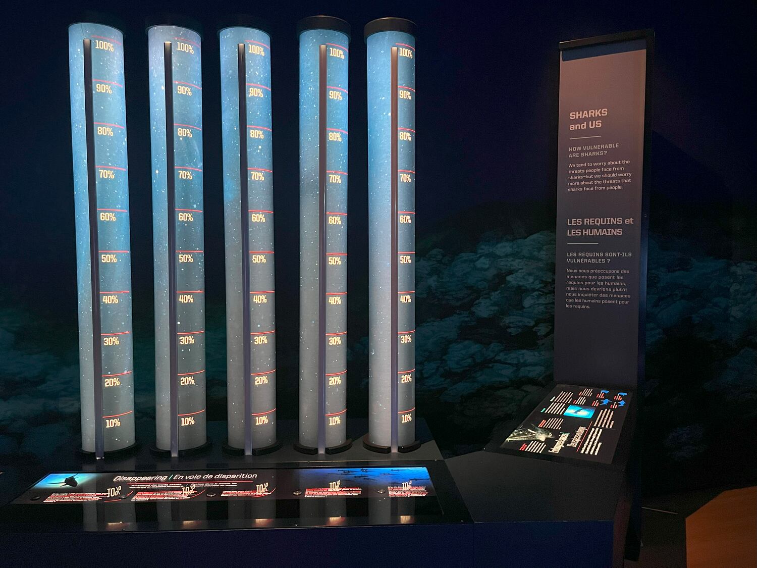 From ‘Jaws’ to ‘The Meg,’ here’s how a new ROM exhibit hopes to ...