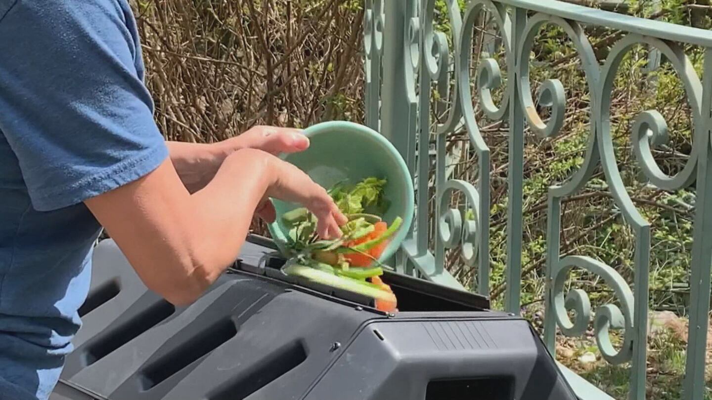 Billions of dollars of food wasted in Canada is avoidable, says report