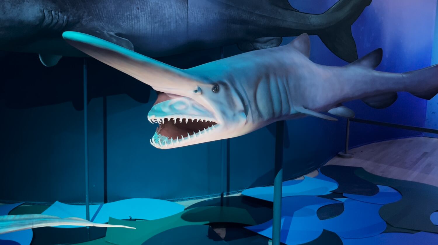 From ‘Jaws’ to ‘The Meg,’ here’s how a new ROM exhibit hopes to ...