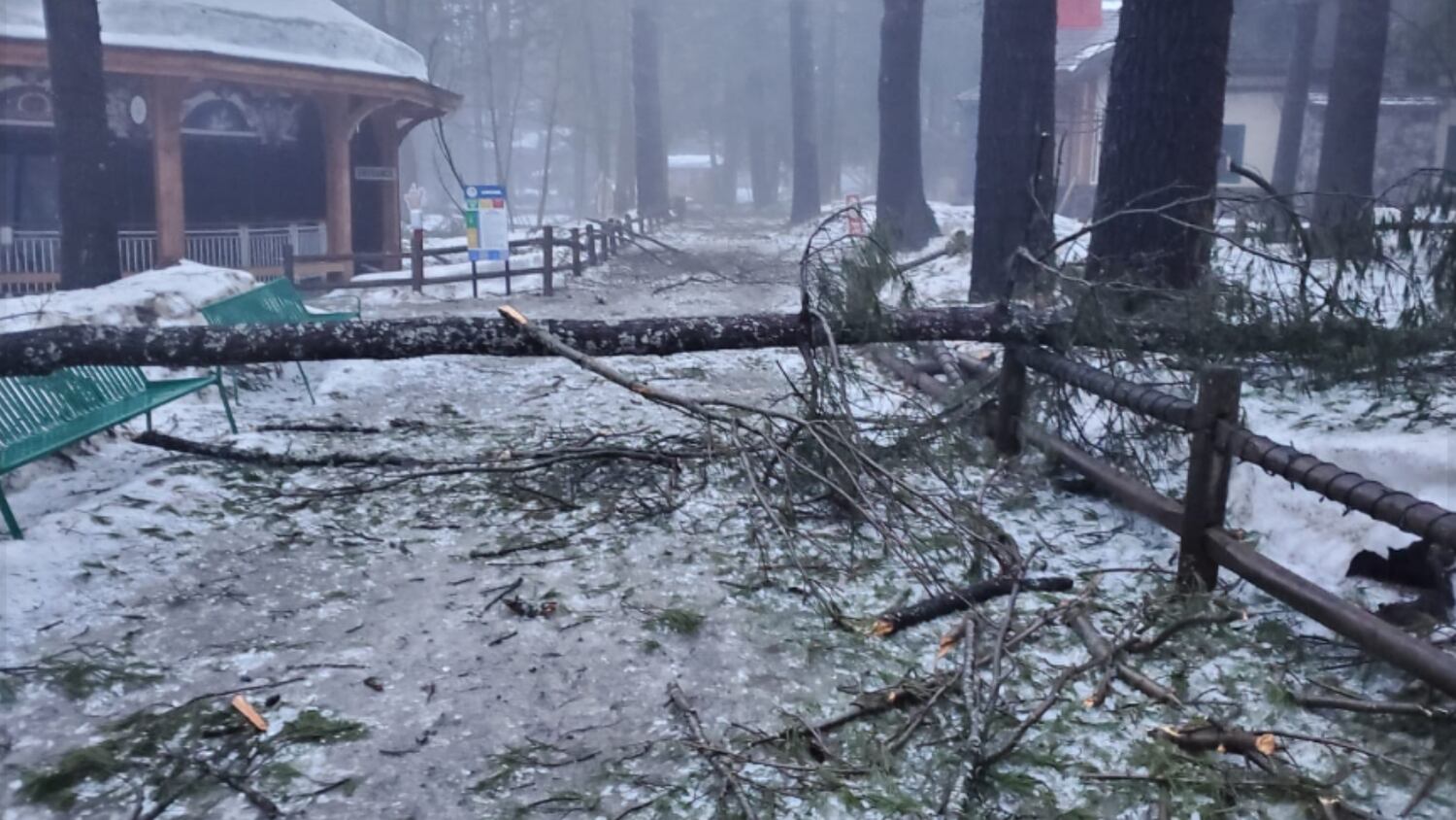 Ice storm causes widespread power outages and damage across Simcoe ...