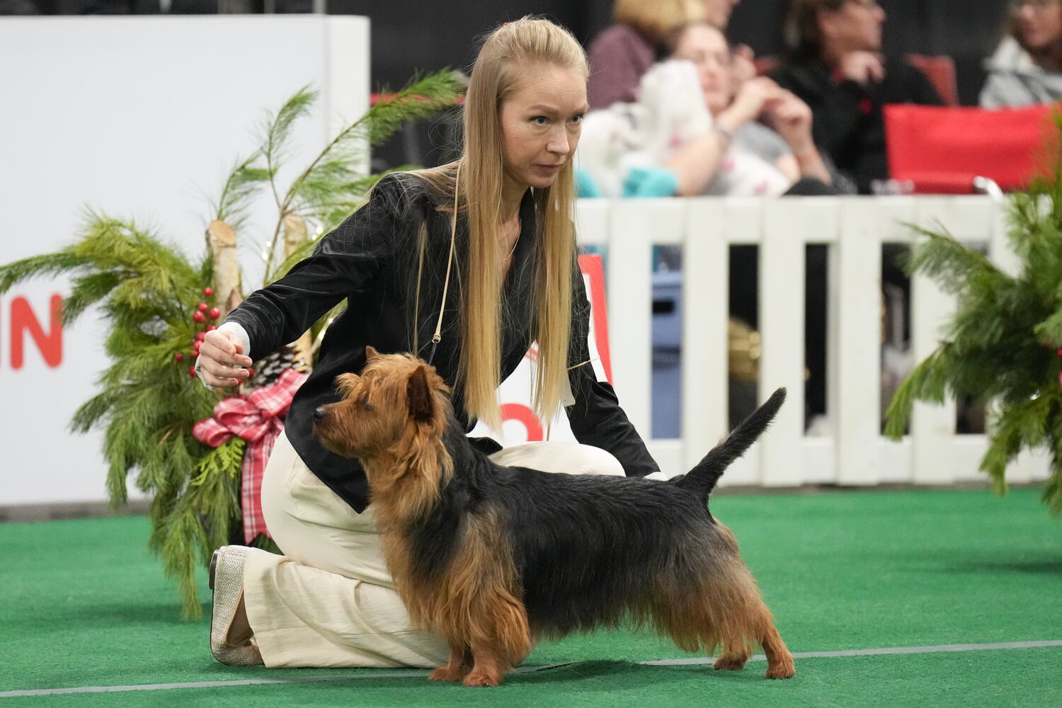 2025 Crown Classic National Championship Dog Show: Furry faces and ...