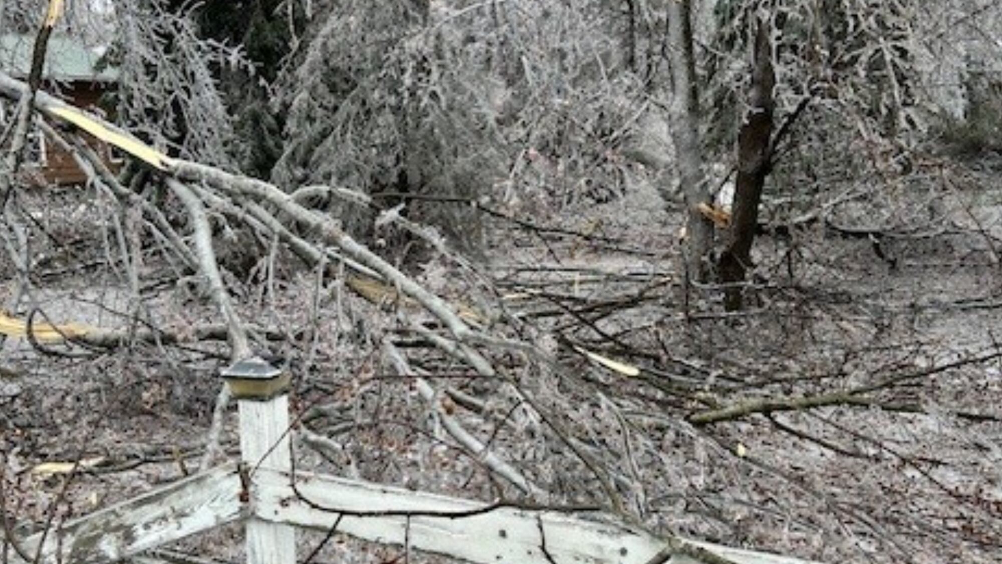 Ice storm causes widespread power outages and damage across Simcoe ...