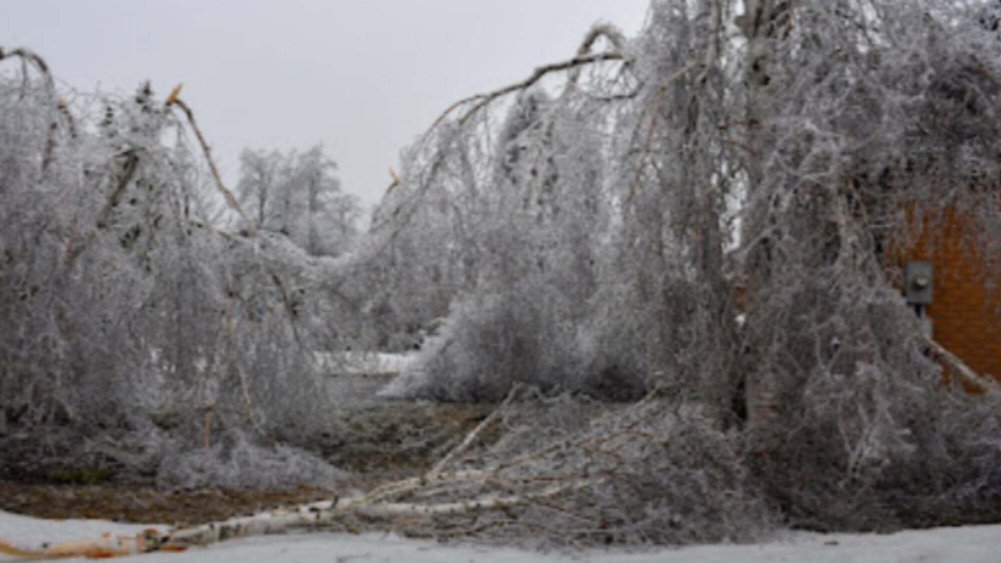 Ice storm causes widespread power outages and damage across Simcoe ...